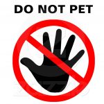 Controlling dog aggression by using a dog muzzle - K9aggression.com