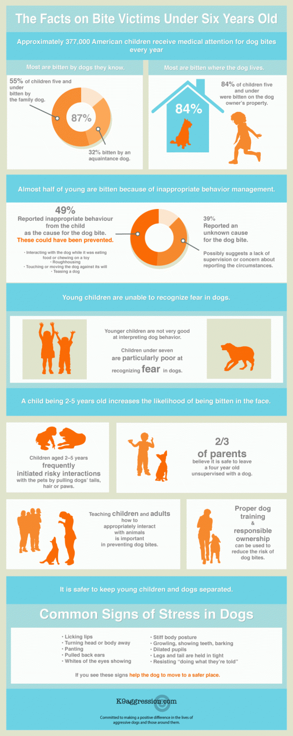 Seven Facts on Young Dog Bite Victims - K9Aggression.com