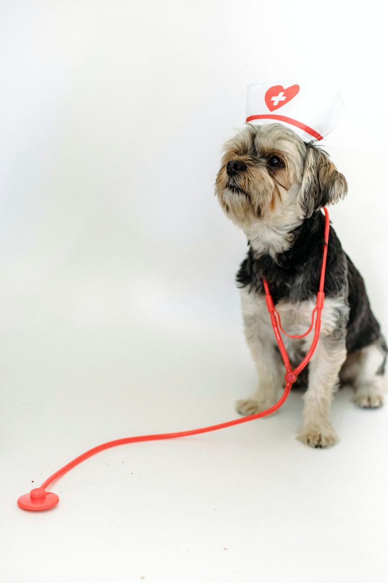 MEDICATIONS USED FOR TREATING DOG AGGRESSION - K9Aggression.com